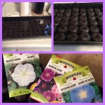 seeds… | herbiggirlpants